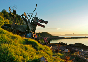 Love the Bulb: Albany Bulb Art Park | California Institute for ...