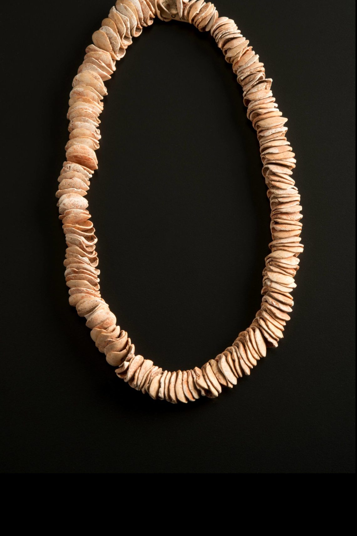 West Berkeley Shellmound Project | California Institute for Community ...